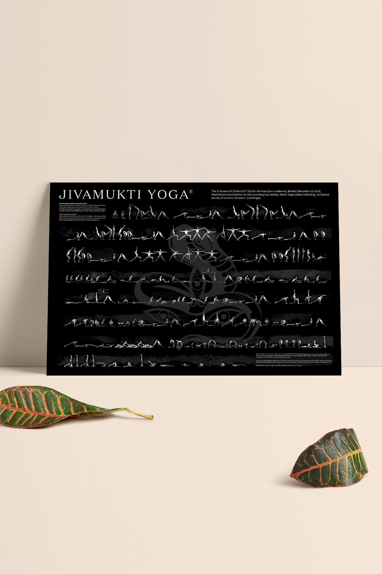 David Life Asana Poster – Jivamukti EU Shop